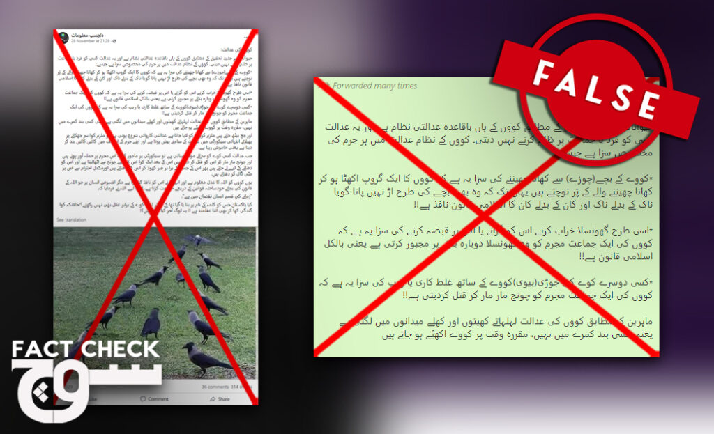 No, crows do not hold courts, nor do they have a criminal justice ...