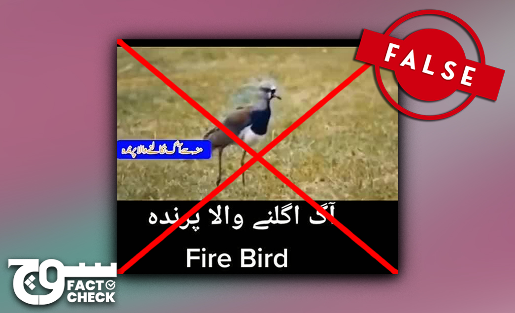 VFX artist’s work mistaken for real bird breathing fire — Soch Fact Check