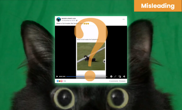 This cat did not score a goal during FIFA World Cup — Soch Fact Check