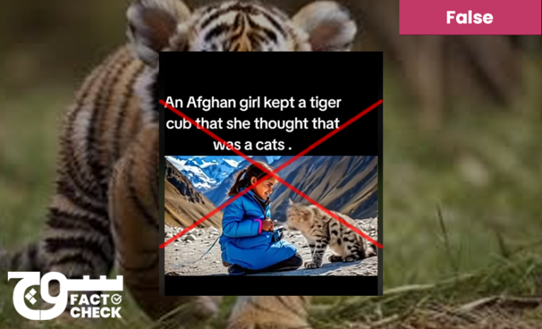 Viral video showing an Afghan child with a tiger cub is AI-generated ...